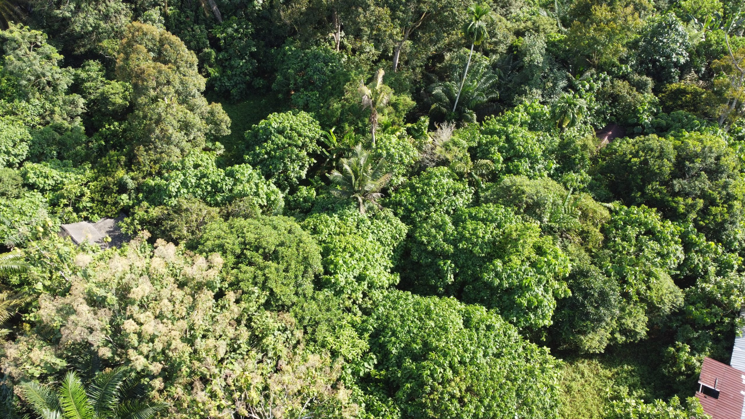 Kampung Sg Kroh Air Kuning Tapah - Ejen Hartanah Perak. Ejen Hartanah ...